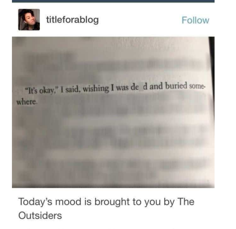 Best Book Memes of 2025: Relatable, Funny & Brutally Honest - BookQuill